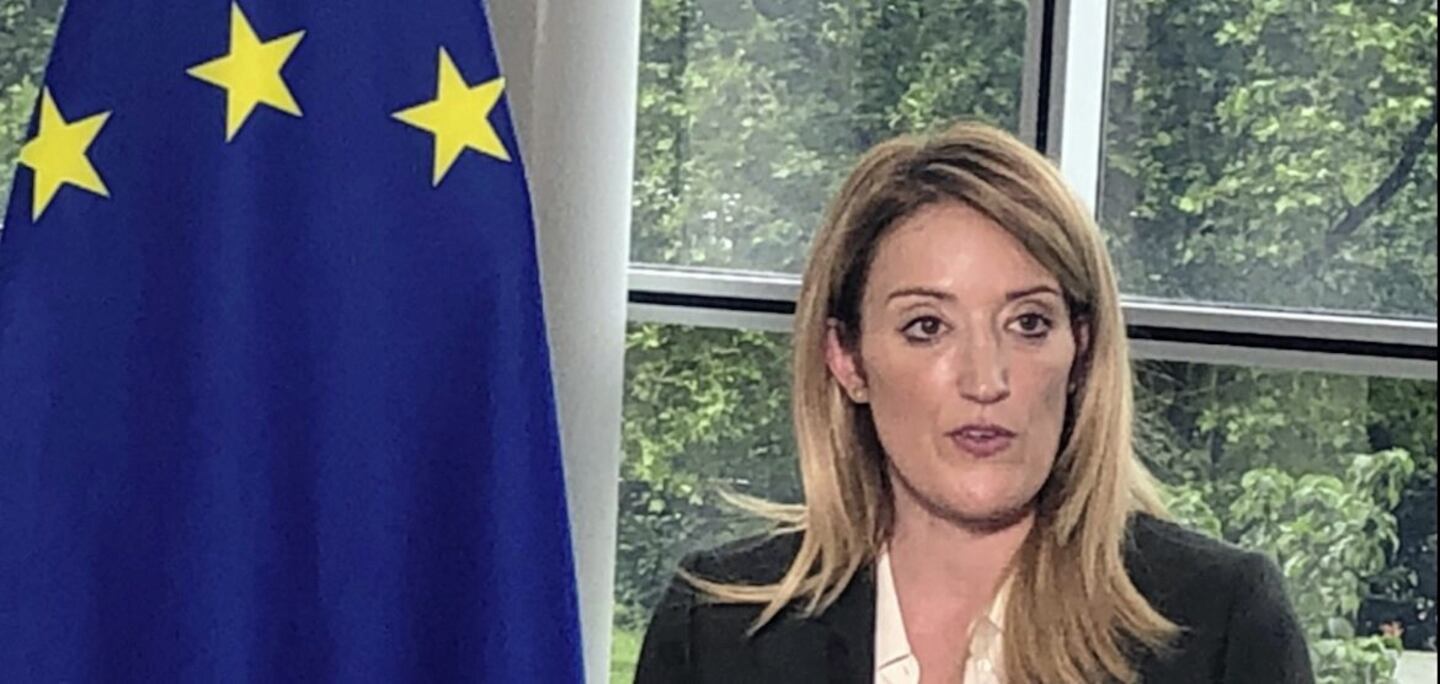 MEPs call for Northern Irish politicians to be given ‘observer status ...